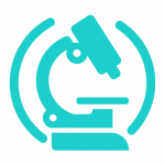 InLei® | Eccellenza del Made in Italy nel Mondo